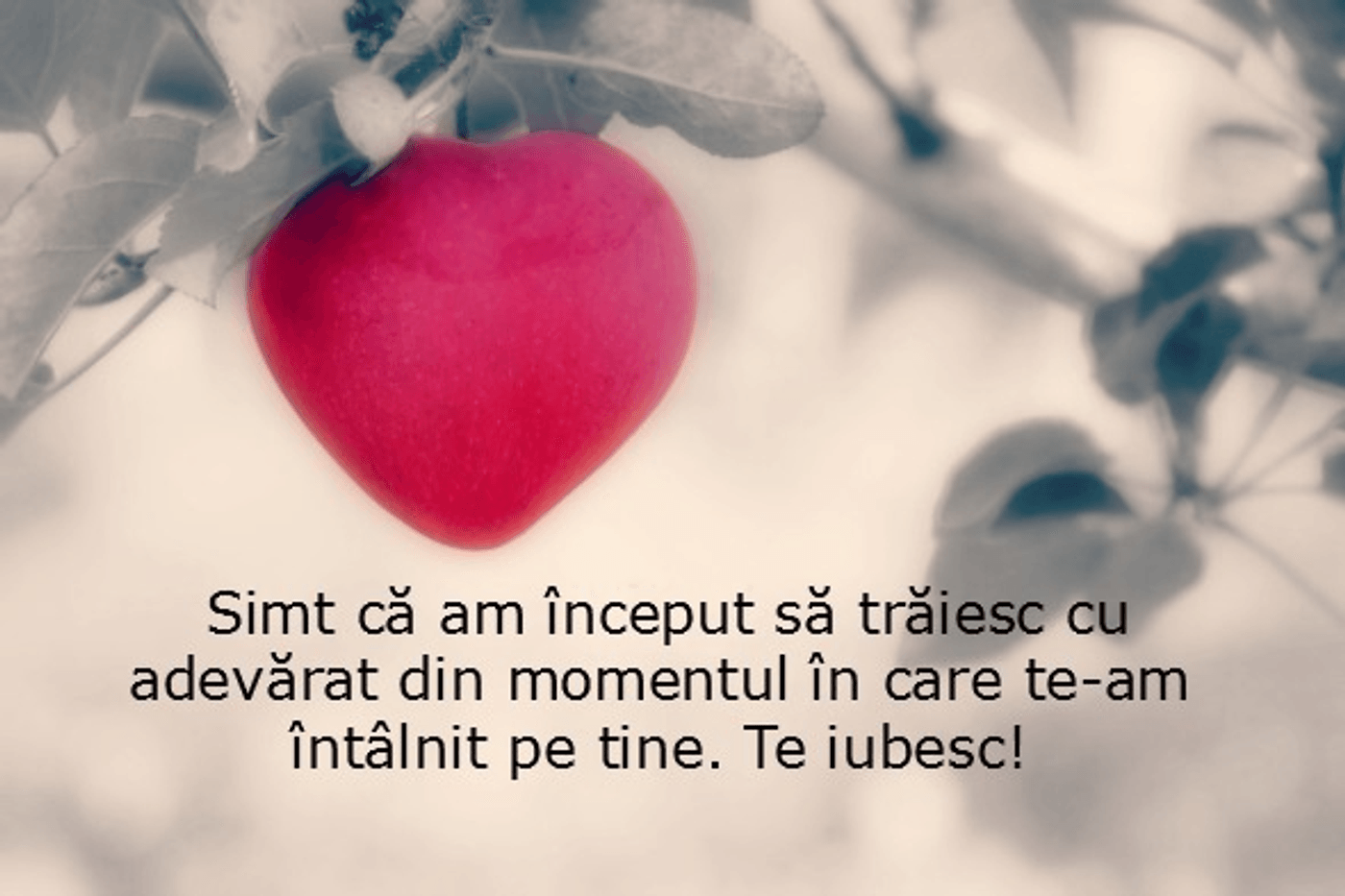 Care sunt cele mai melancolice mesaje de dor? - Faude